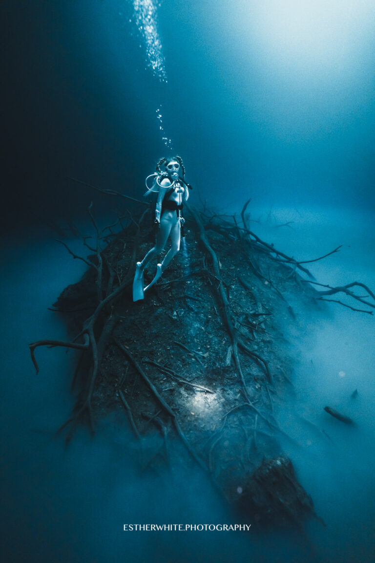 Private Cenote Diving & Underwater Photography Tour